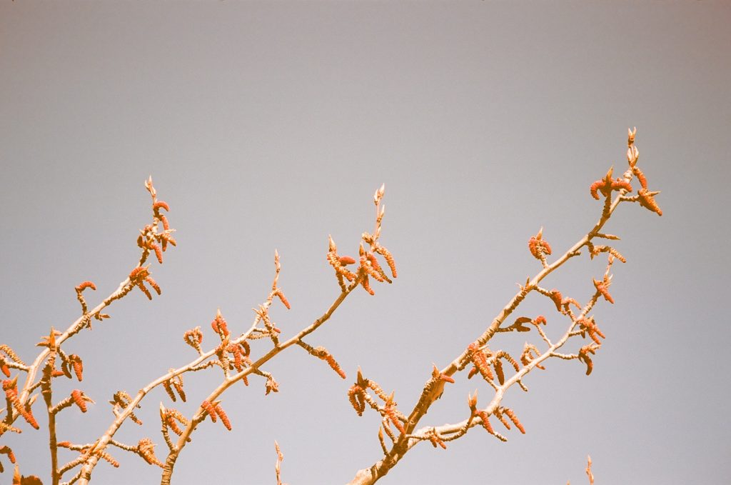 What is Body-based healing – SOMAYOKE